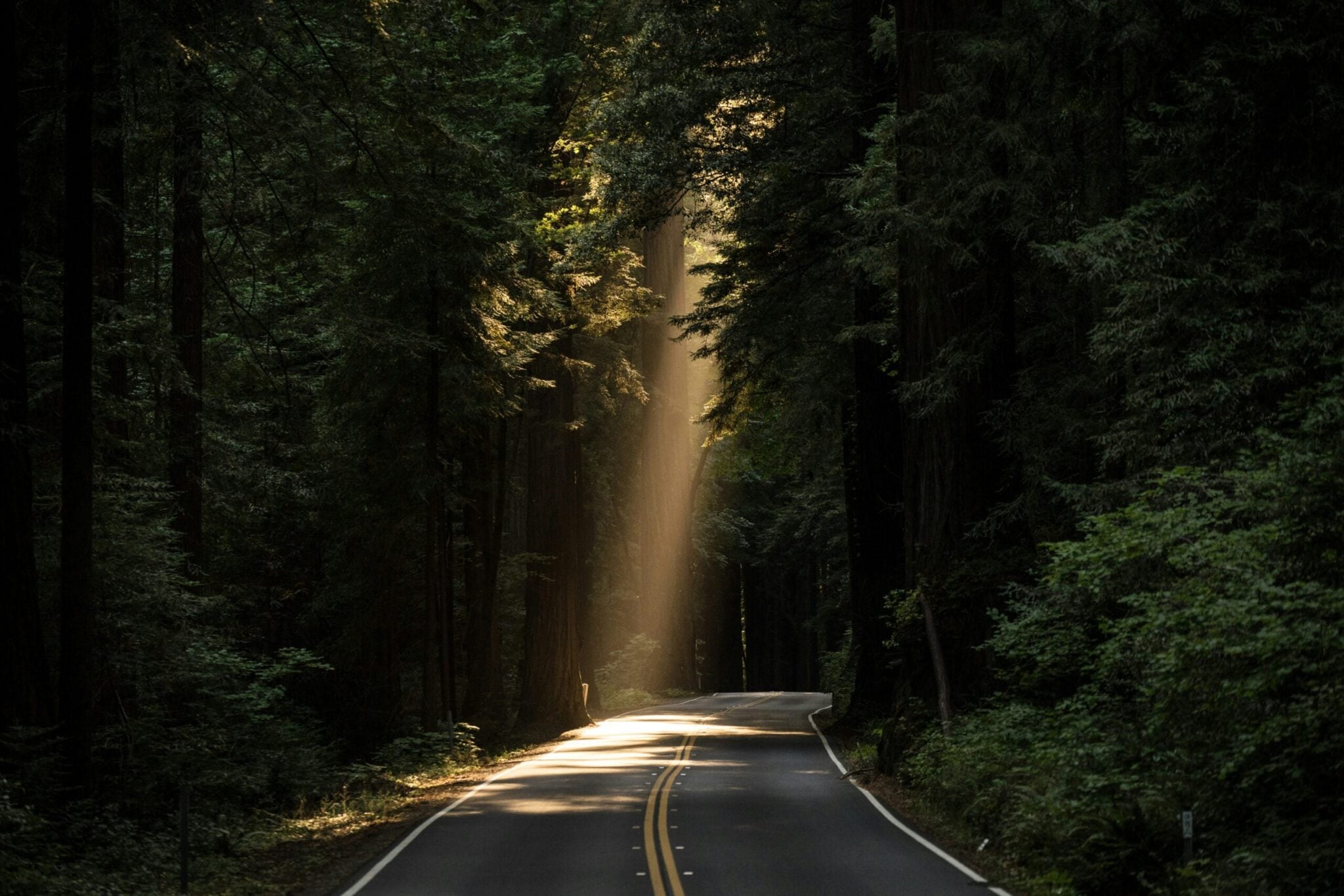 Aligning Accounting Approaches for Nature - Capitals Coalition