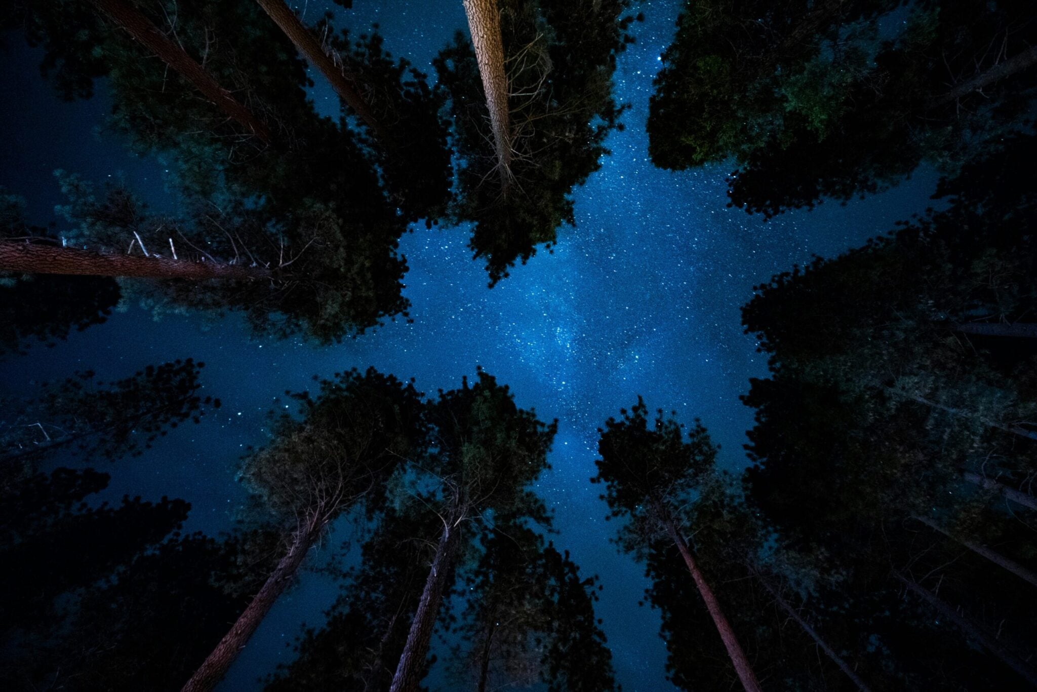 A-Track - Accelerating Transformation for Nature - Capitals Coalition